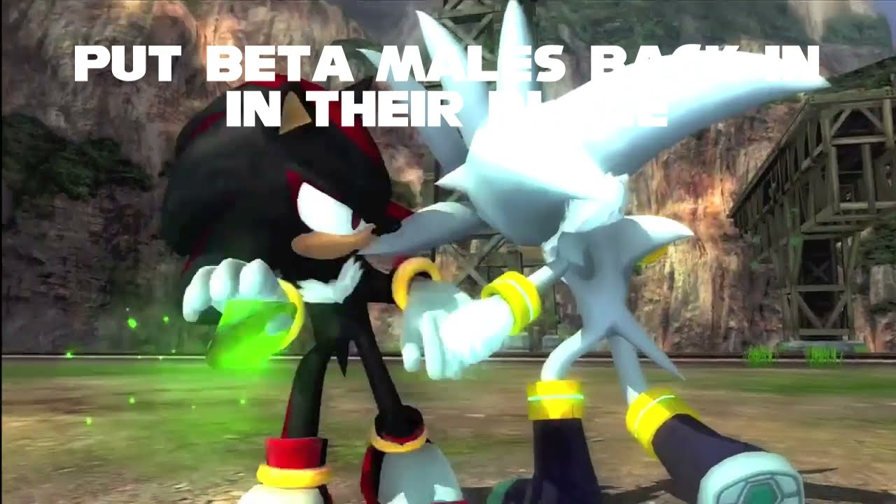 Sigma Male Grindset - Shadow the Hedgehog - YouTube