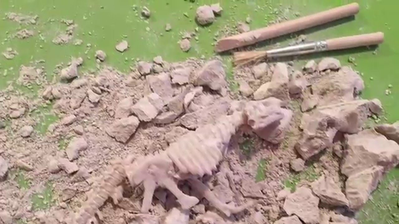 Mini Dino Excavation Kit from Lakeshore Learning - YouTube