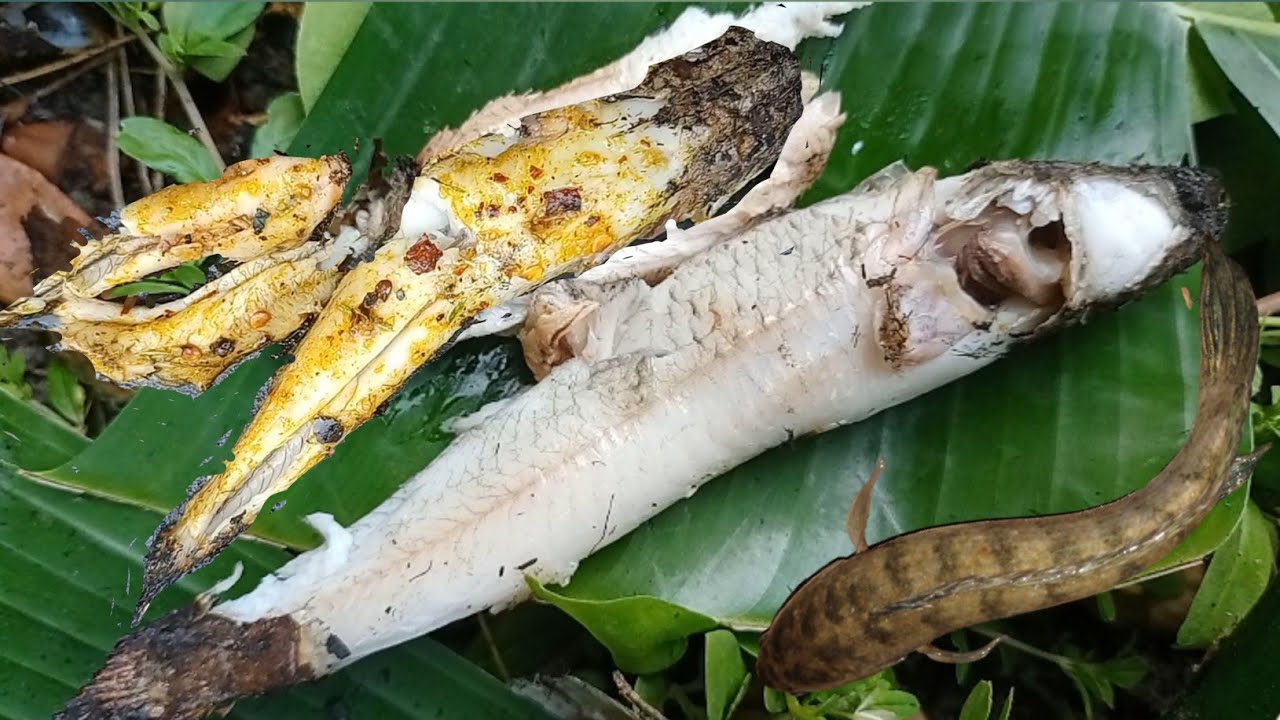 Catching fish and burning it on fire,Village pond side Fishing,Fish ...