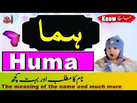 Huma Name Meaning in Urdu - YouTube