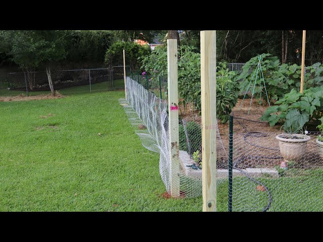 Back Yard Chicken Wire Garden Fencing 51 Stylish And Cool Fence