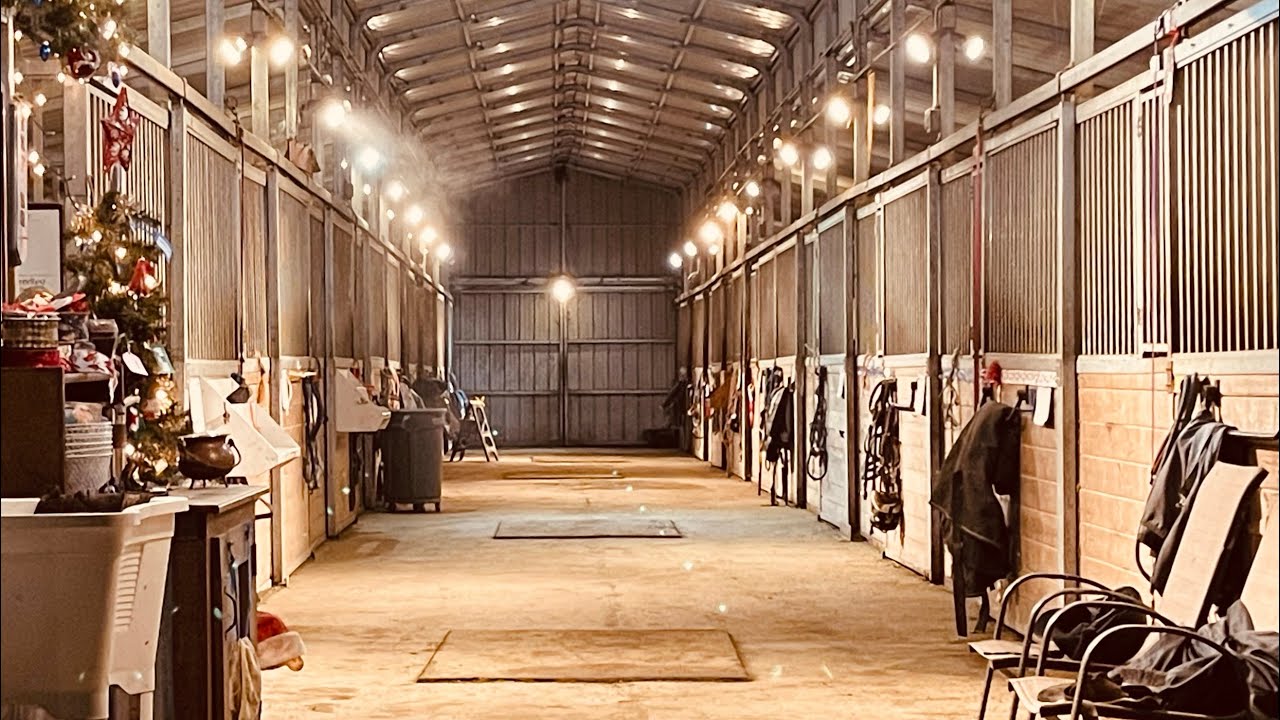 Open the barn and check on the horses with me - YouTube