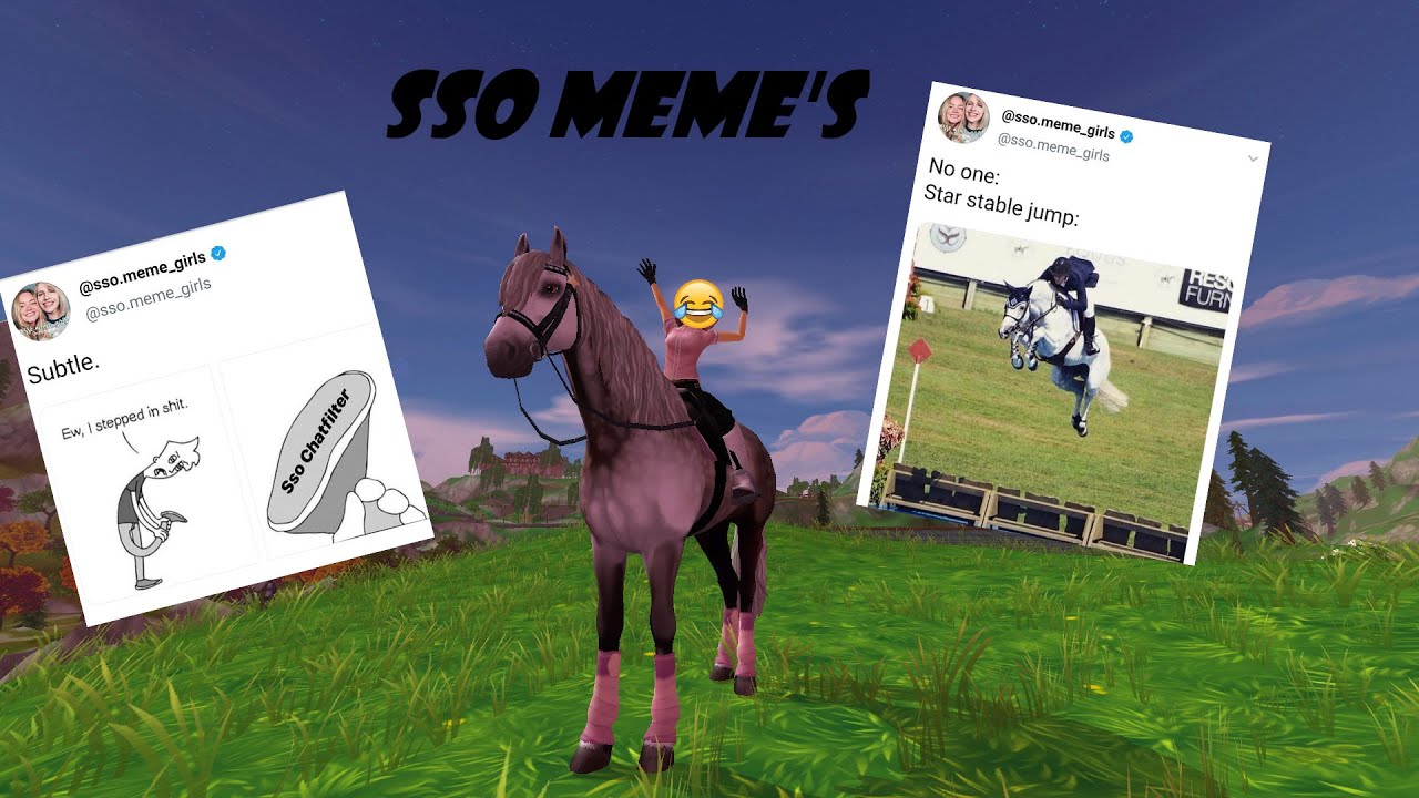 SSO Memes 🤭 / Evelyn Polarfire / - YouTube
