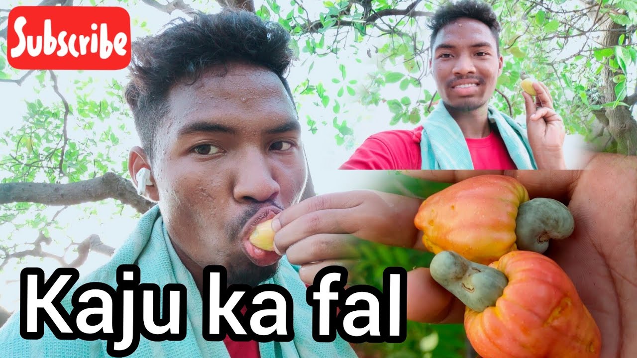 kaju ka fal !! kaju ka fal khane wala hai main !! Adibro ‎@B Boys ...