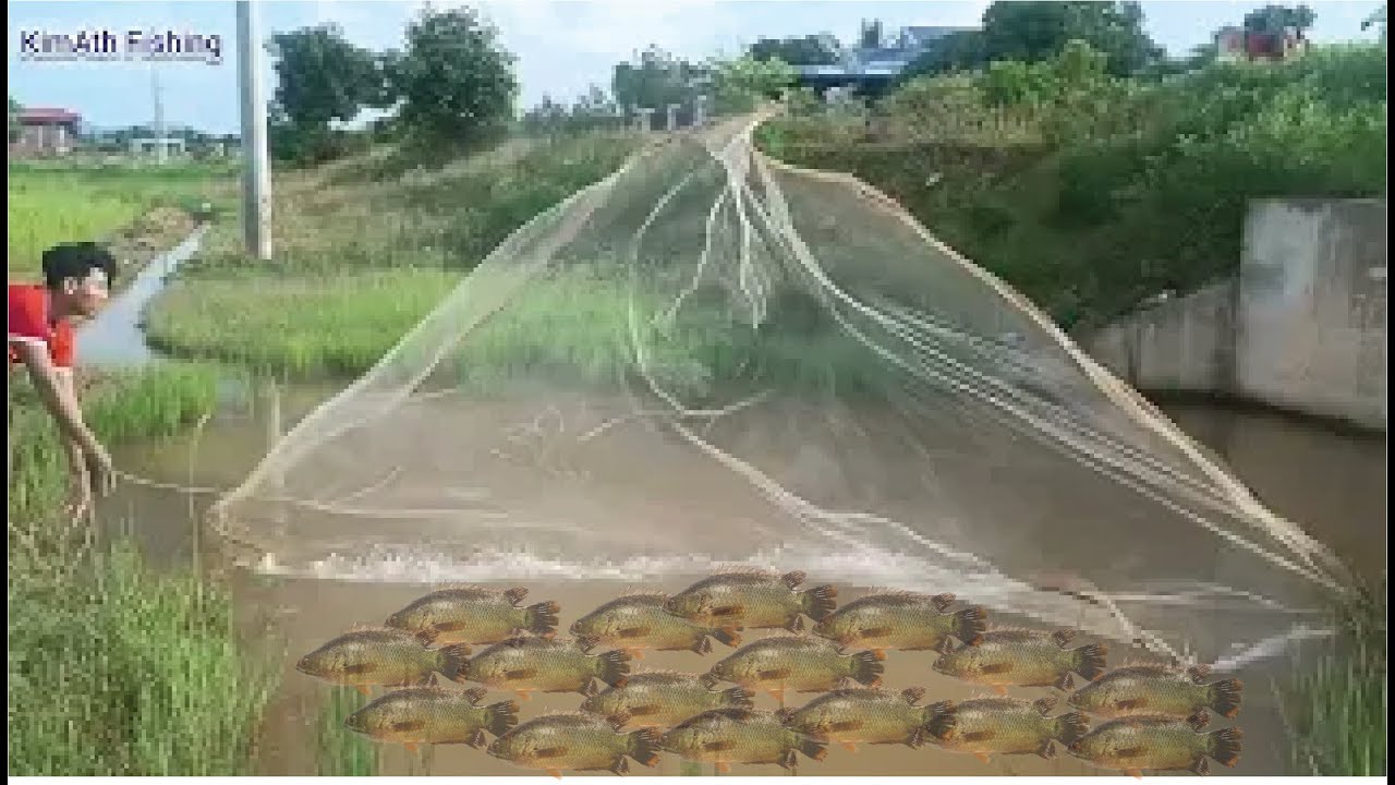 Ep.48: Real Life Fishing - Rural Fishing Nets In Riverside ...