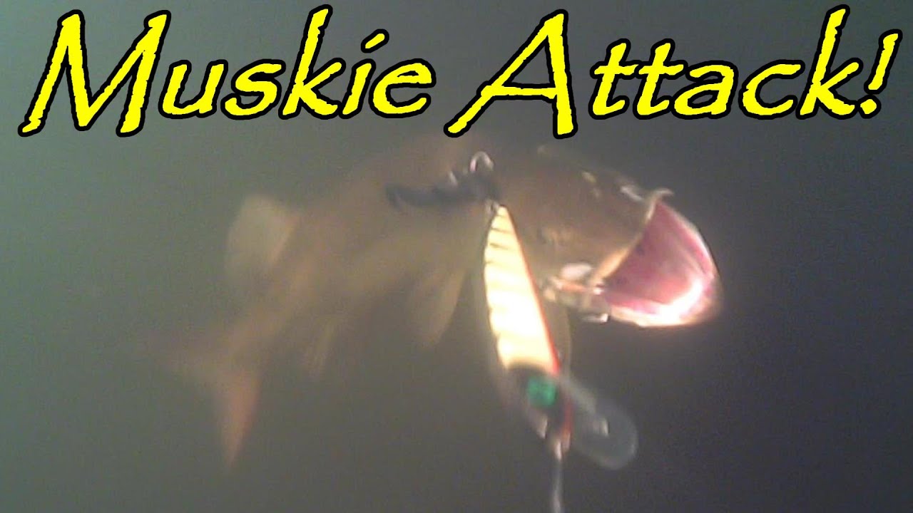 Muskie Fishing on the "Johnny" New Brunswick Canada-Underwater Views ...