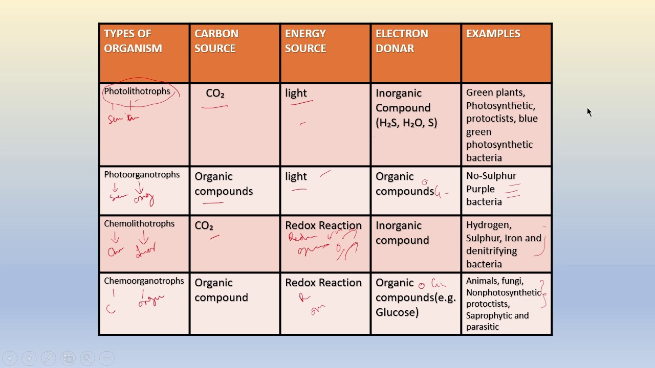 Classification of Organisms on the bases of source of energy - YouTube