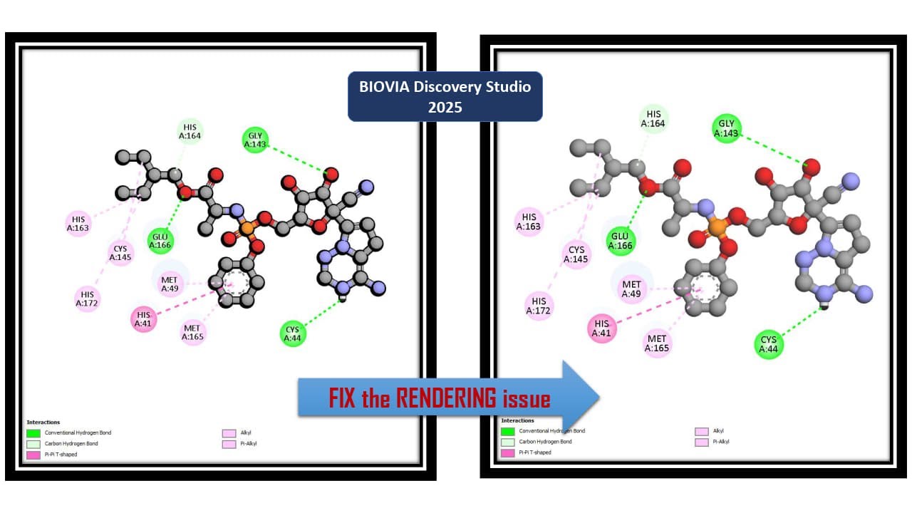 Biovia Discovery Studio 2025 2D interaction Image rendering issue - YouTube