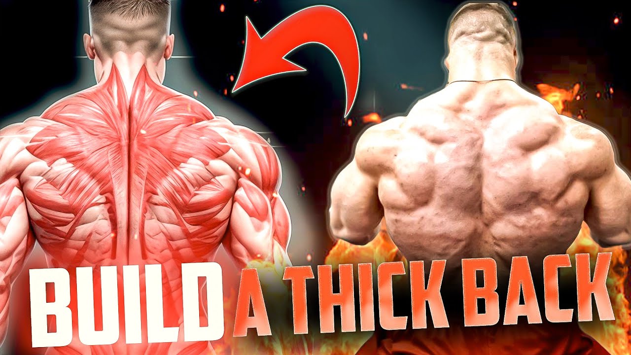 Nick Walker Mr Olympia 2023 Teams Up With Tristyn Lee And Jared Feather ...