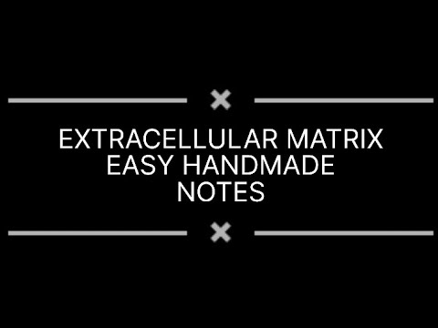 Extracellular matrix easy handmade notes #bsc - YouTube