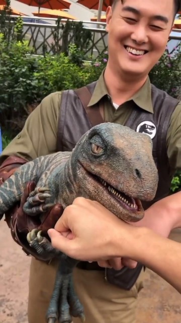 Animal Transformation #trollface #trolling #editing #trending #memes # ...