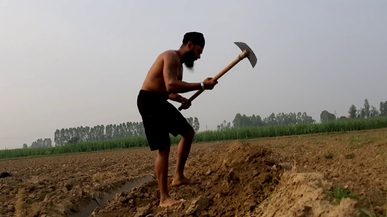 For respected farmers share and subscribe thanks to all - YouTube