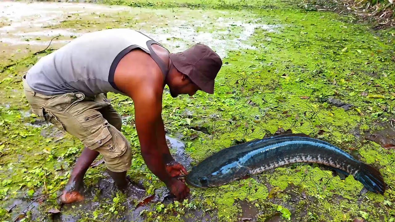primitive technology extreme fishing video cooking and eating delicious ...
