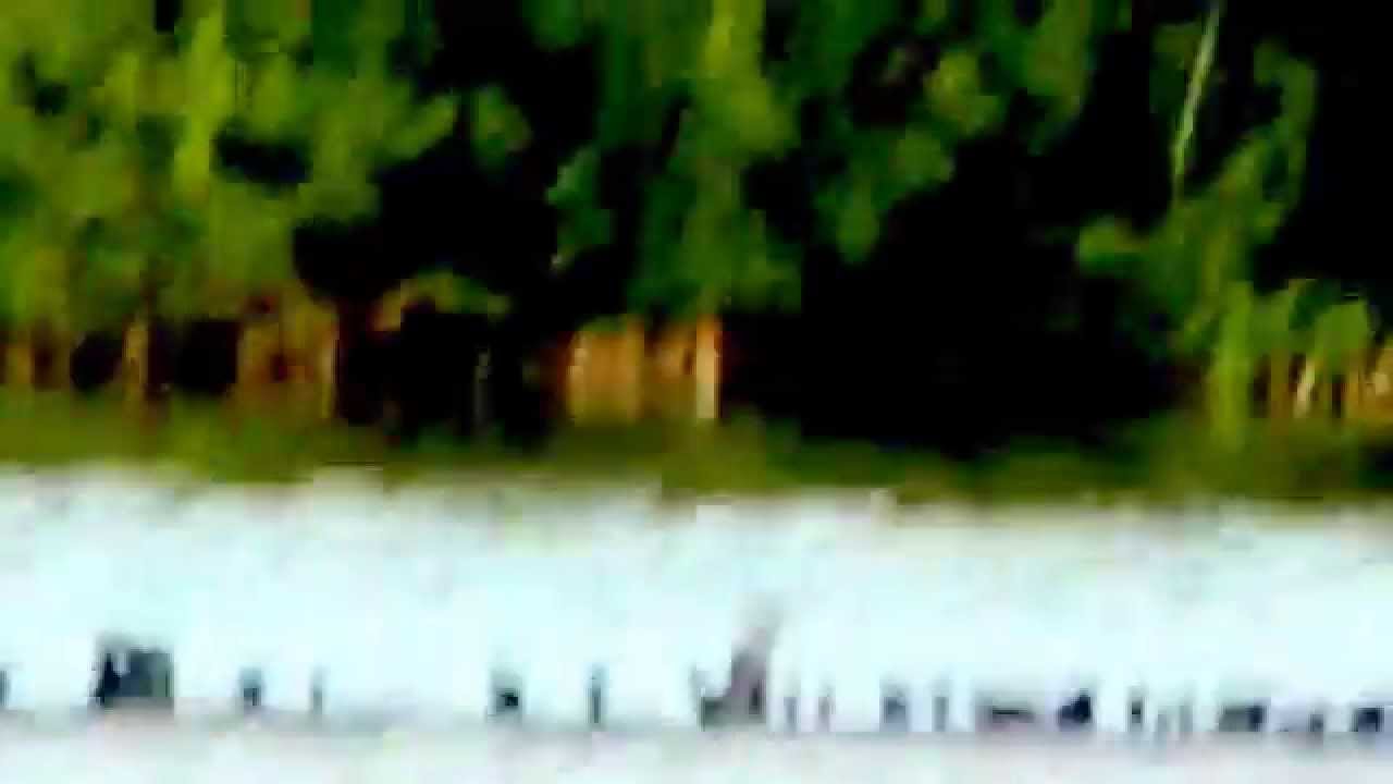 Everglades National Park, Coot Bay Pond Jan 2015 - YouTube