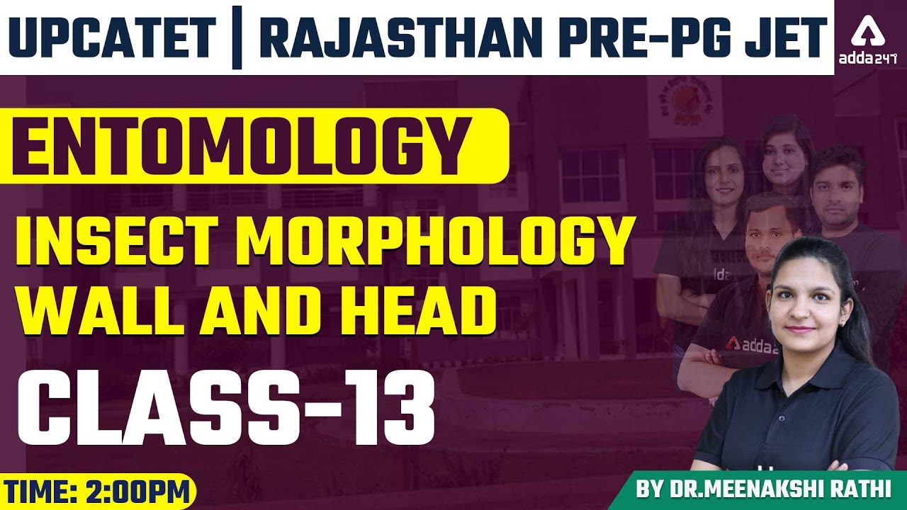 UPCATET | Rajasthan Pre-PG JET | Entomology | Insect Morphology Wall ...