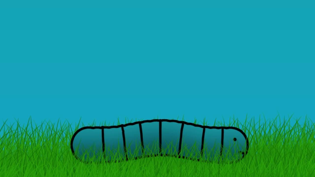 Worm Animation - YouTube