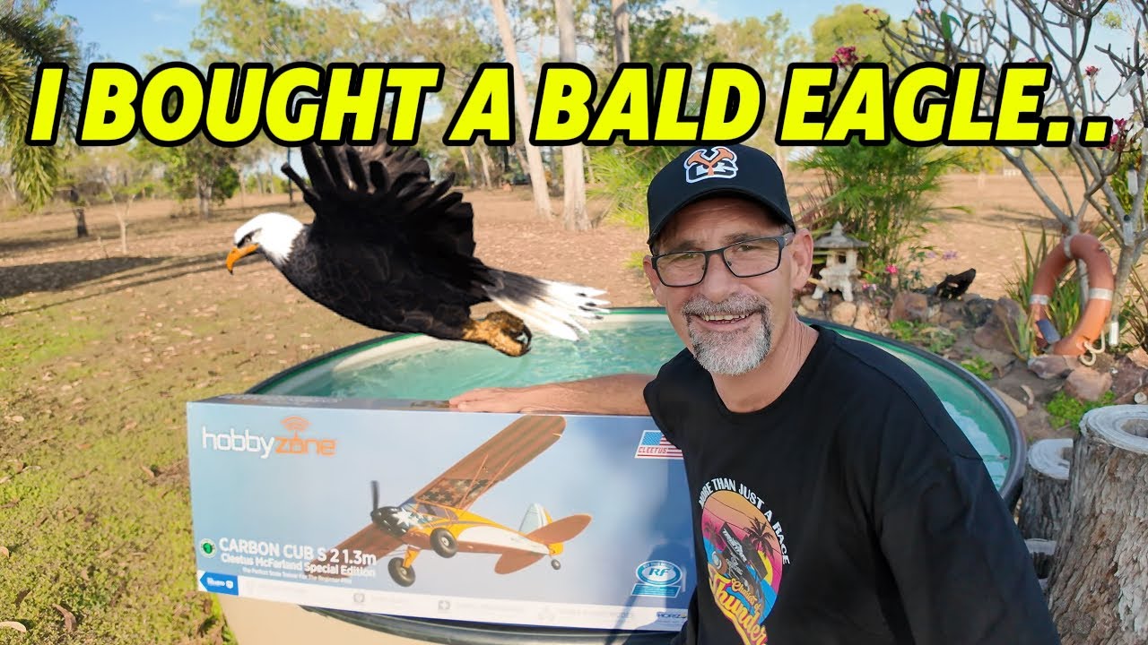 I Bought a Bald Eagle.. Cleetus McFarland Carbon Cub S2.. - YouTube