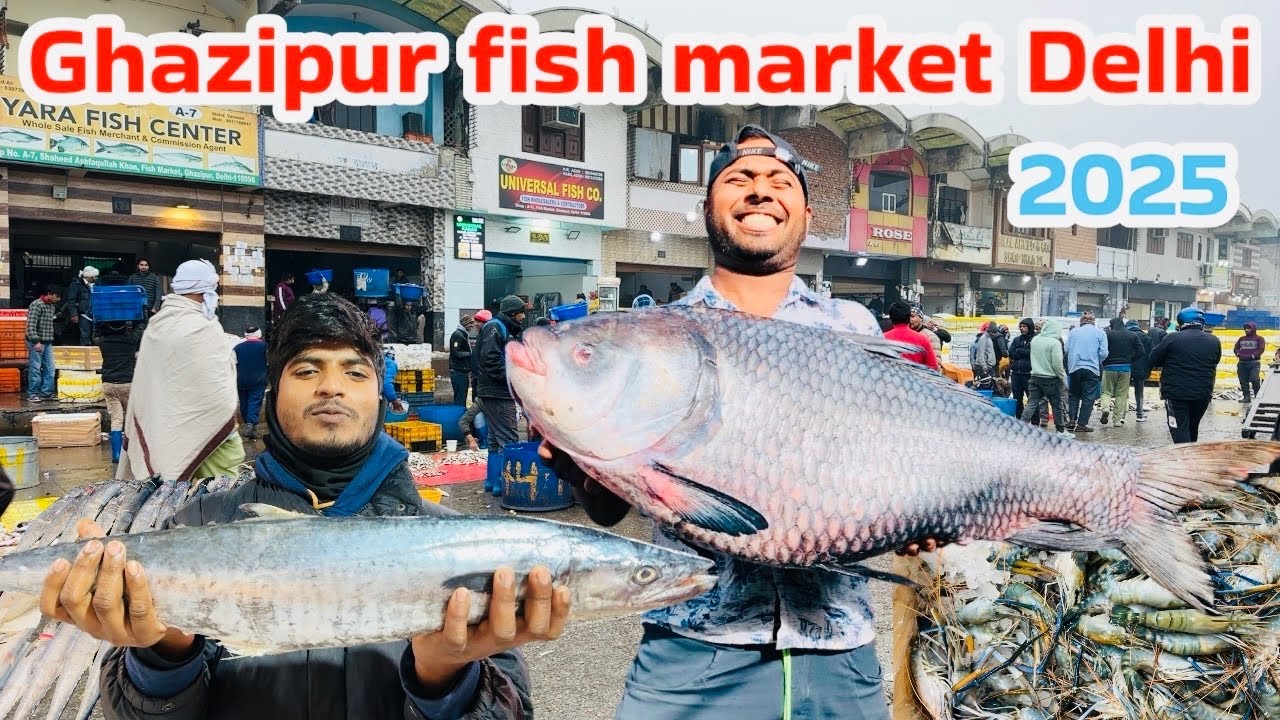 Ghazipur Fish Mandi Delhi Today Price 2025 ghazipur machli mandi ...