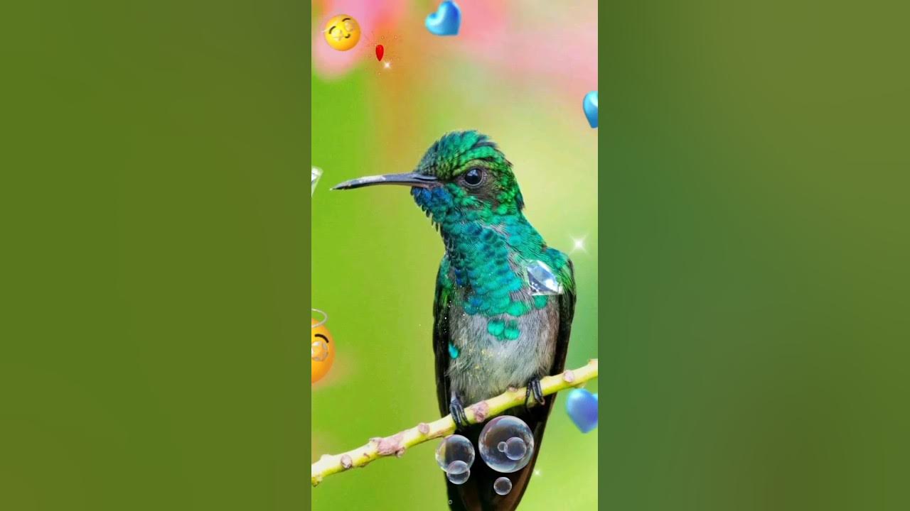 Most Beautiful Youtube