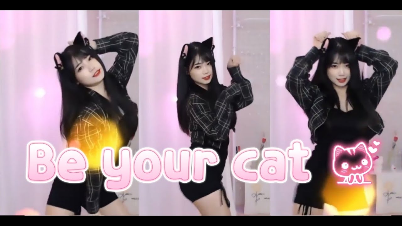 비유어캣(Be your cat) 댄스리액션 - YouTube