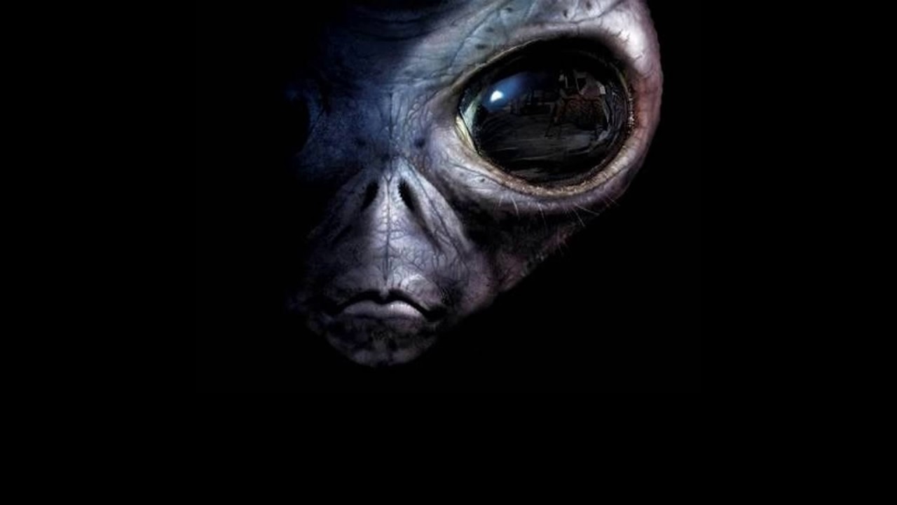 Alien in Delhi India - YouTube
