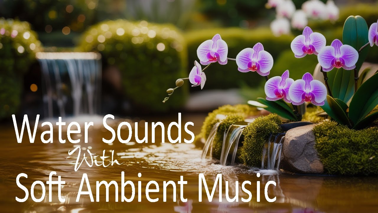 Tranquil Water Sounds with Soft Ambient Music 🍃 Relaxing Music for ...