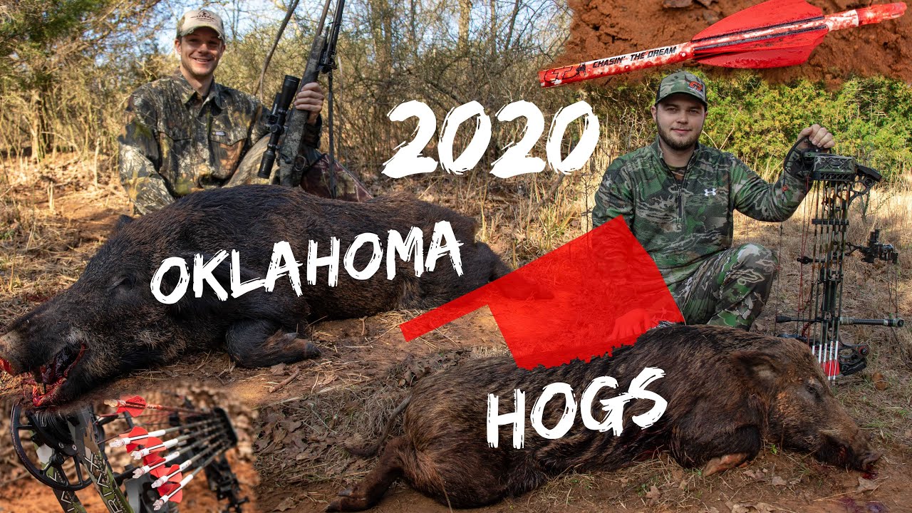 Oklahoma HOGS (BIG BOARS DOWN!) - YouTube