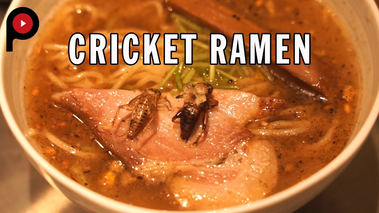 【昆虫食】 コオロギラーメン | CRICKET RAMEN by Earth Boy - YouTube