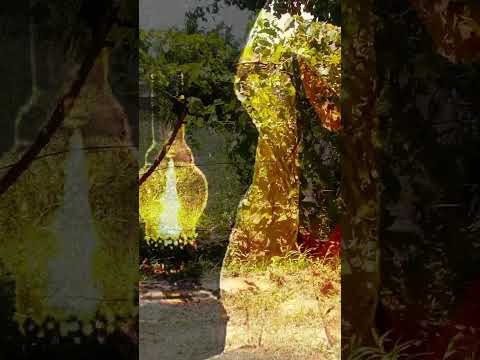 Bu sevgiden ne sen doydun nede men - ✍️Tofiq dağlı #şeir #kaydet