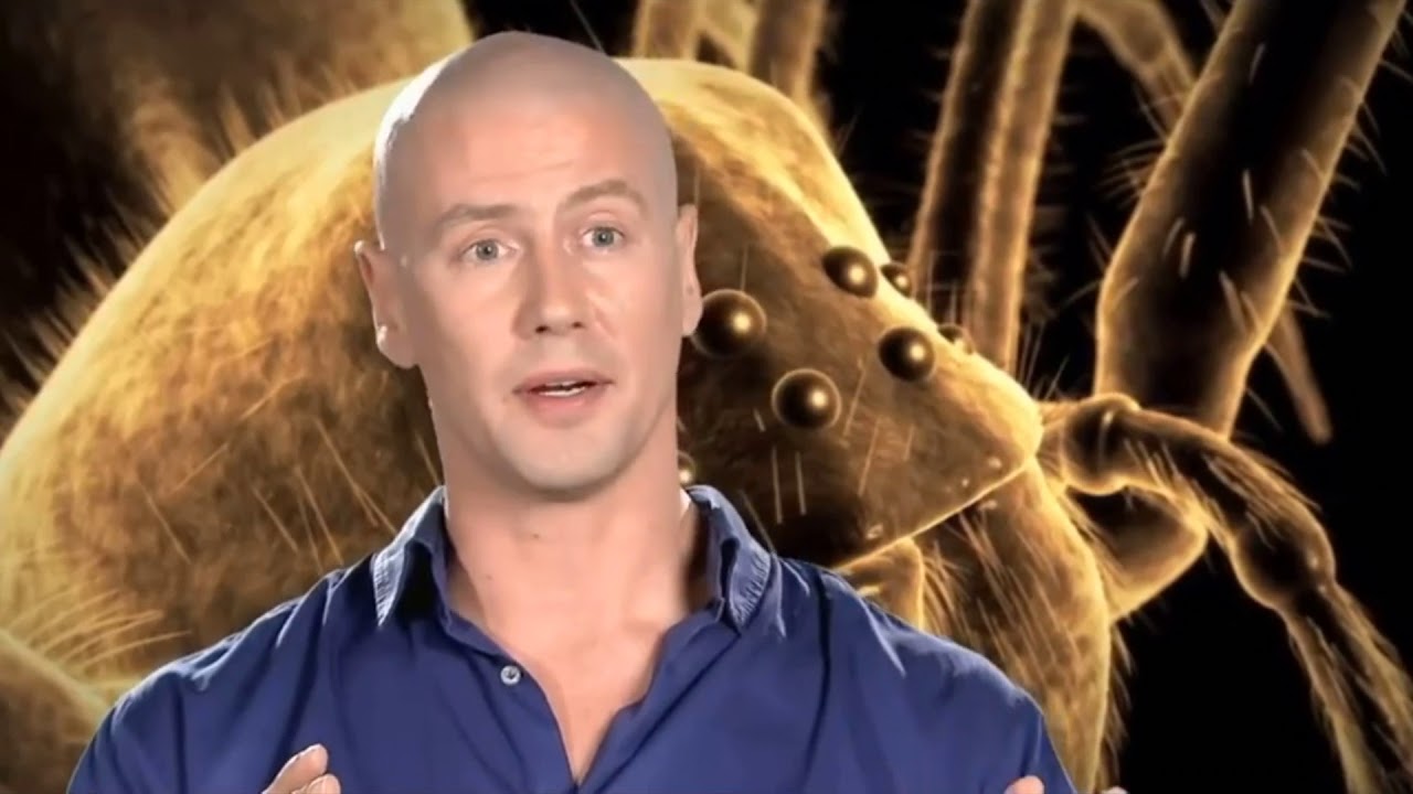 MONSTER BUG WARZS - YouTube