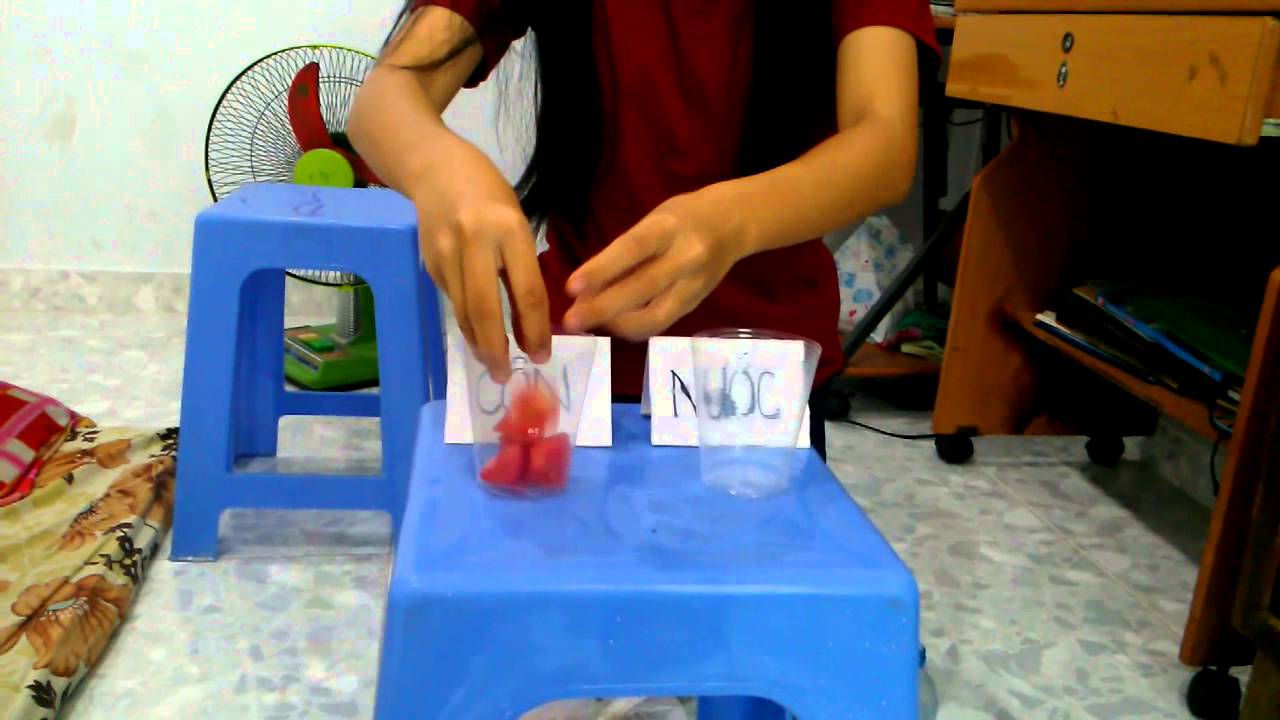 Nhóm Hn Thí Nghiệm Sinh B8 Youtube