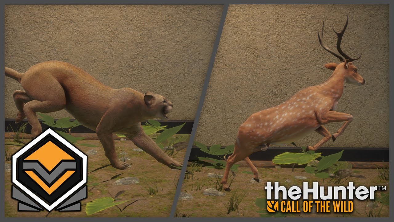 Tripple Diamond!? | Parque Fernando | theHunter: Call of the Wild - YouTube