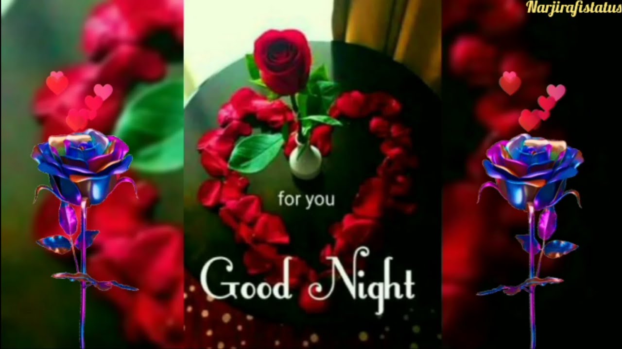 Good night🌃Good night video🌃 Good night status🌃 Good night status video ...