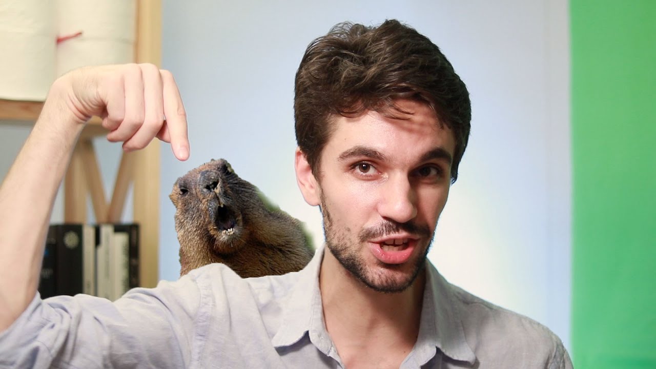 Dan mrmota (Groundhog Day 1993.) - YouTube