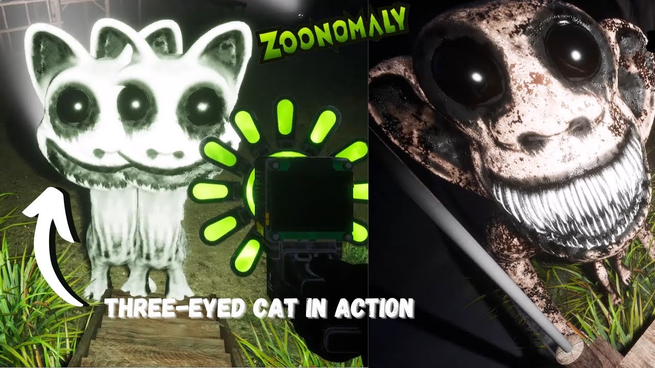 MISSION IS POSSIBLE//THREE-EYED CAT IN ACTION//ZOONOMALY// - YouTube