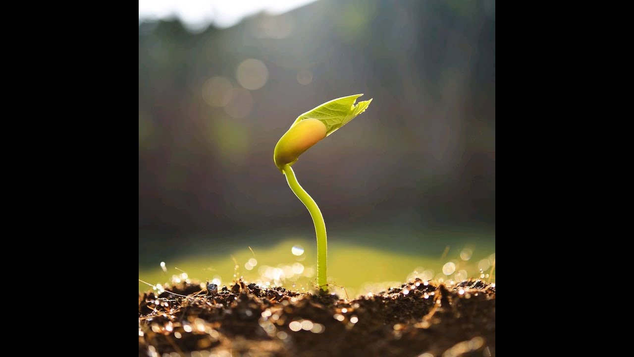 By sowing the right seeds today, we can reap a better tomorrow for all ...