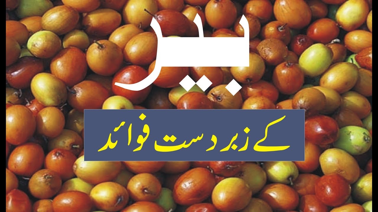 Jujube fruit benefis / Bair ke fayde / Health benefits of jujube fruit ...