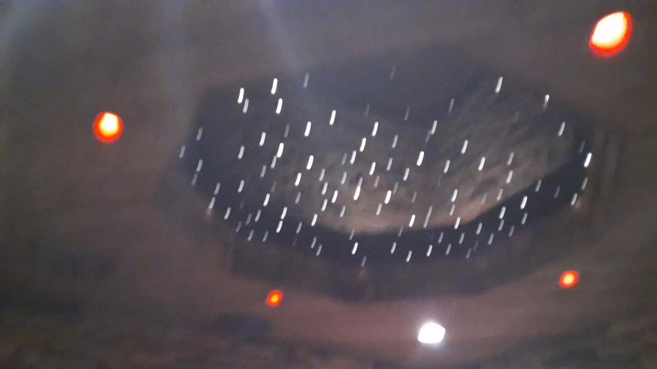 Safari Room, Sunset Inn and Suites, Clinton Illinois - YouTube