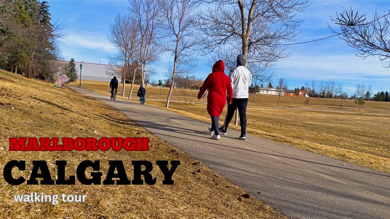 🇨🇦Calgary Alberta on March 2025 | 4k walking tour | haya vlog - YouTube