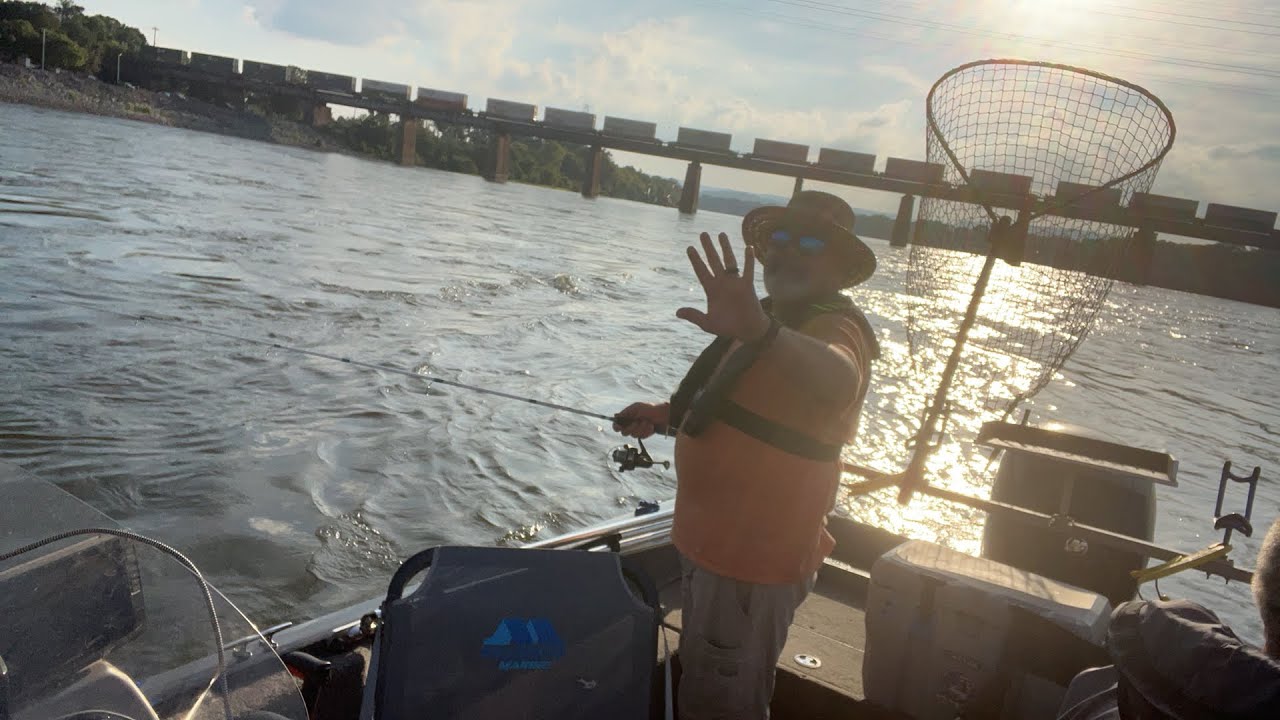 Skipjack fishing Chattanooga Tennessee River - YouTube