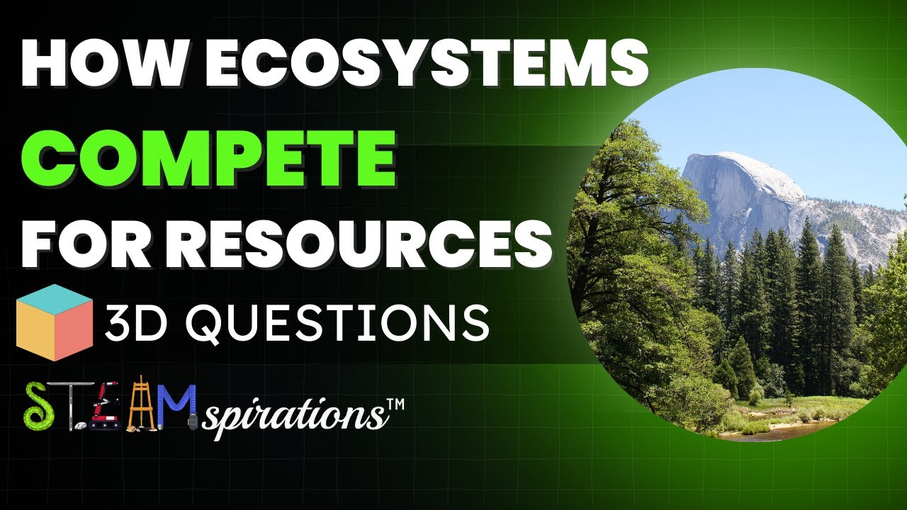 3-D Questions from STEAMspirations: How Ecosystems Compete for ...