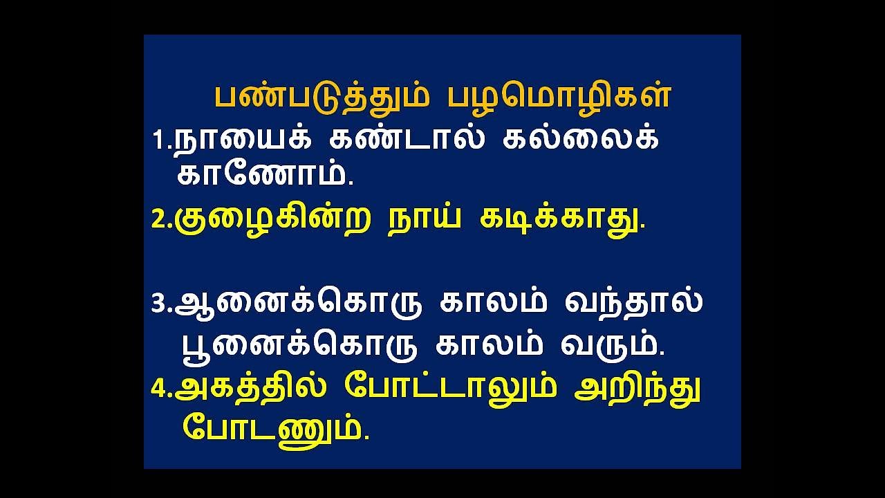 4-Std | Term-1 |Panpaduthum pazhamozhigal | பண்படுத்தும் பழமொழிகள் ...