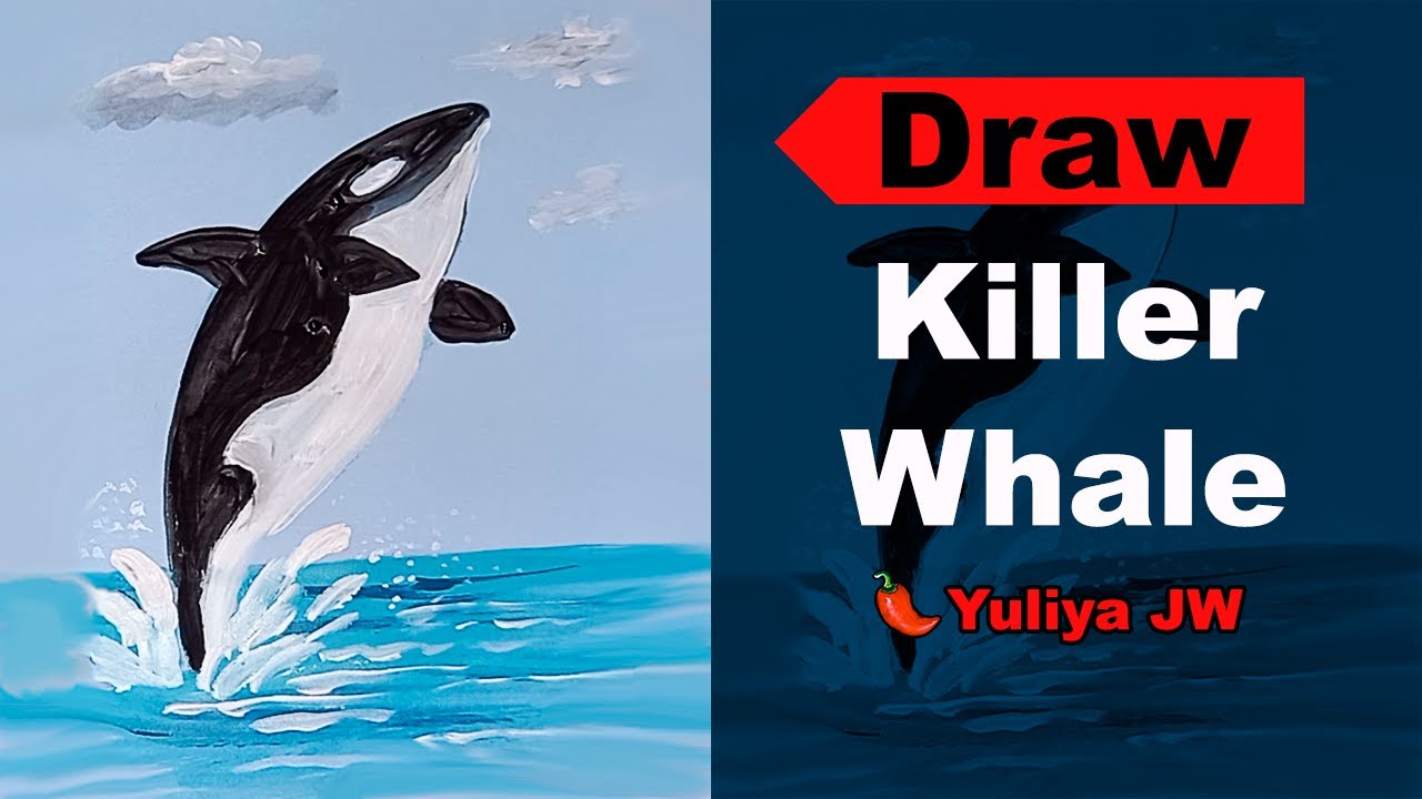 🐋 how to draw killer whale step by step - YouTube