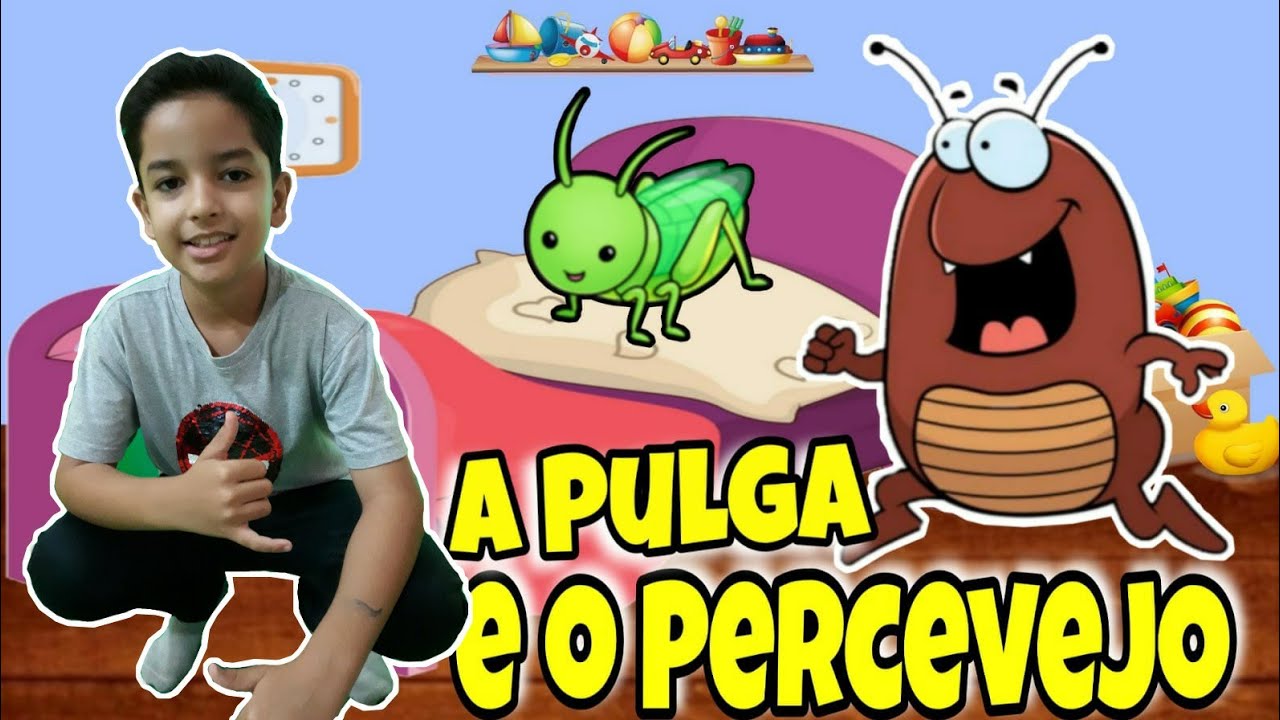 A PULGA E O PERCEVEJO - MÚSICA INFANTIL - YouTube