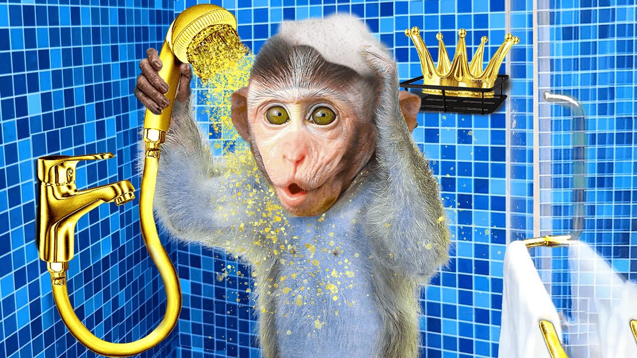 Baby monkey Chu Chu eats rainbow ice cream with puppies and swims with ...
