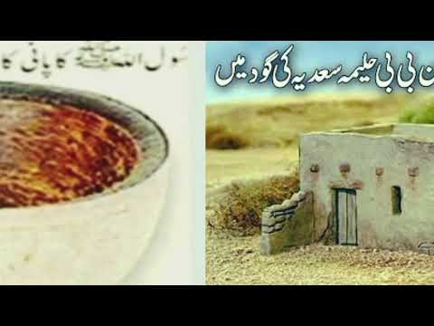 Muhammadi History Dpz | Whatsapp Status |  Islamic Motivational #qoutes | #viralshort