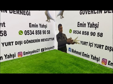 Emin Yahşi Canlı Mezat kanalı canlı yayında #hayırlıcumalar 🌹👋
