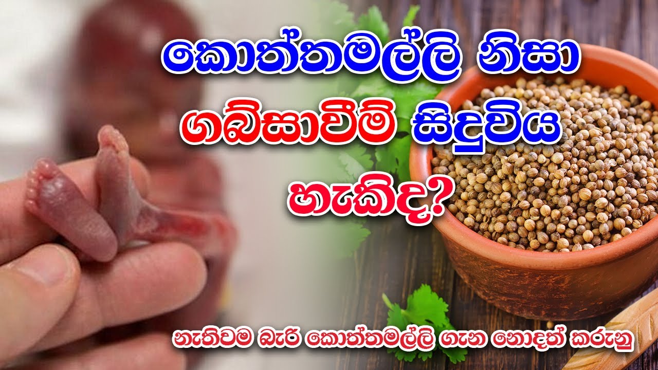 නැතුවම බැරි කොත්තමල්ලි | Fact Of Coriander (Koththamalli) - YouTube