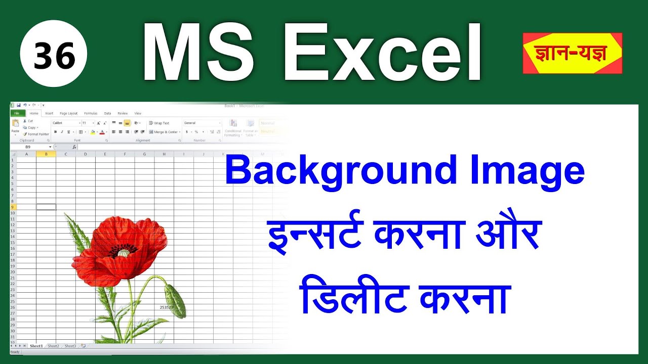 Insert and Delete Image from Background in MS Excel| Insert Picture ...