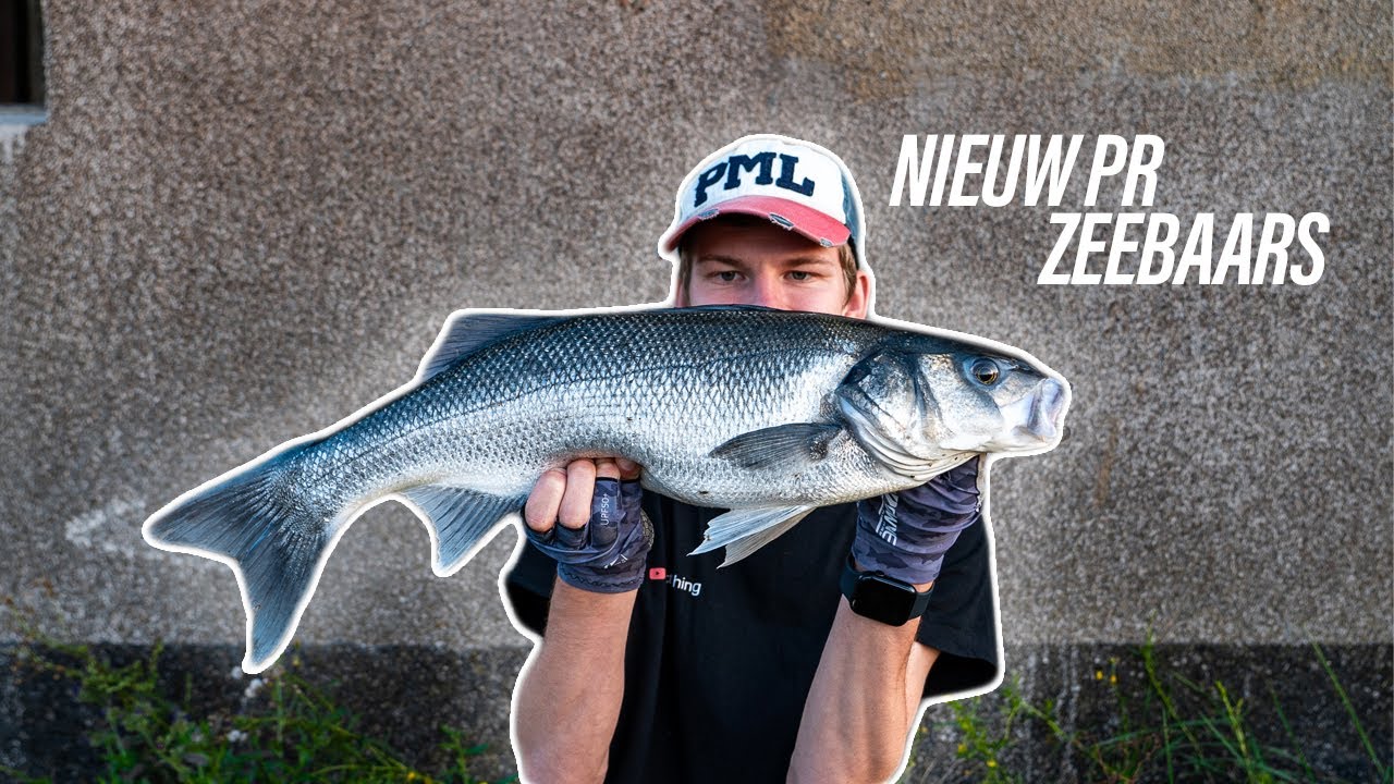 VISSEN OP GROTE ZEEBAARS VANAF DE KANT - YouTube